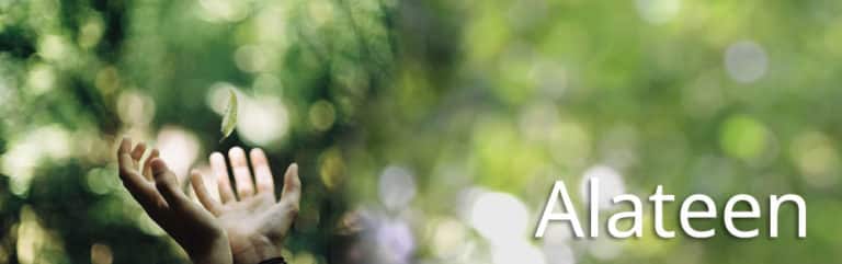 About Alateen - Pennsylvania Area Al-Anon